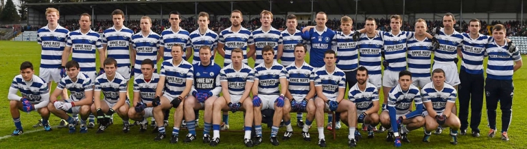 Privacy Policy | Castlehaven GAA